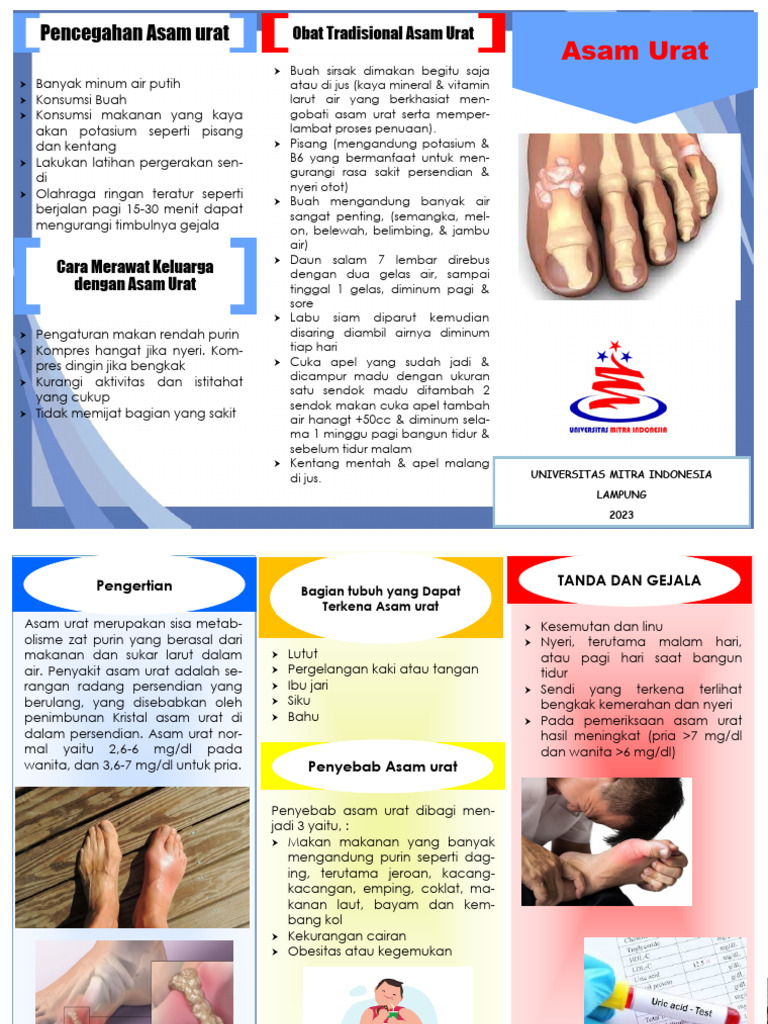 Leaflet Asam Urat | PDF