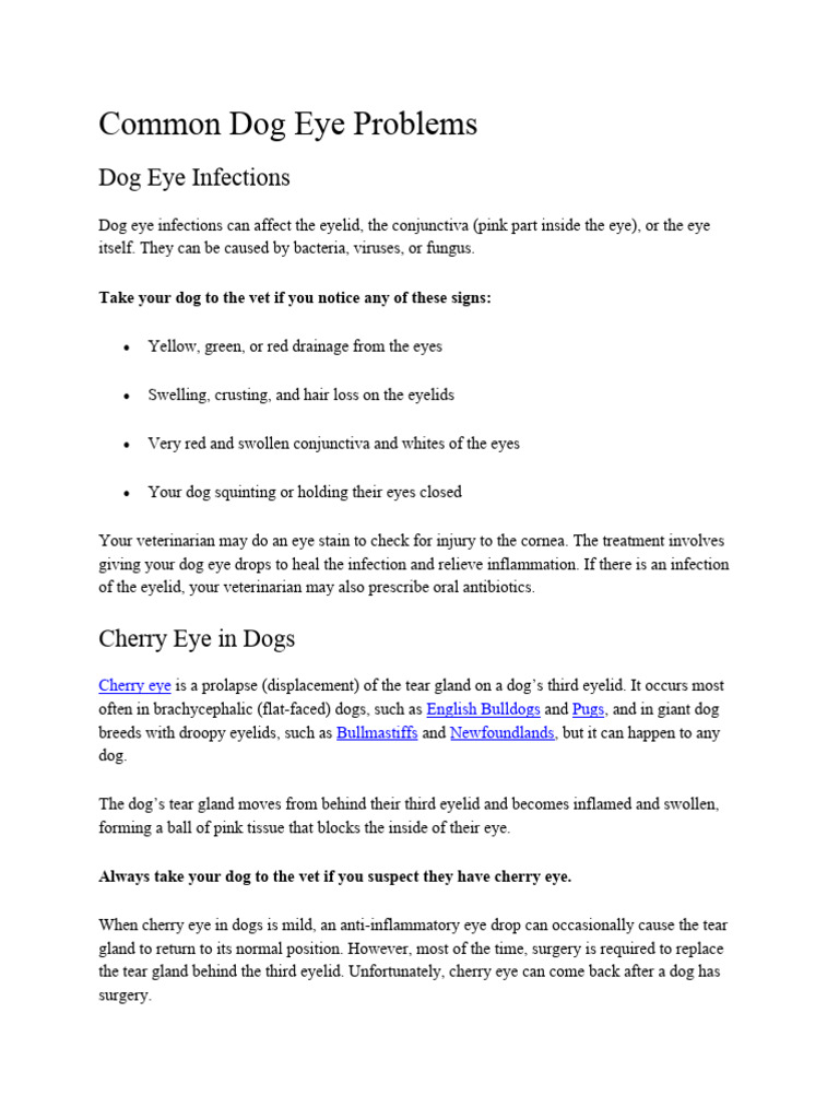 Common Dog Eye and Ear Problems | PDF | Glaucoma | Retina