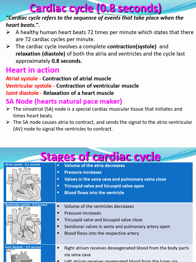 Cardiac Cycle Ecg CHD To Write | PDF | Atrium (Heart) | Heart