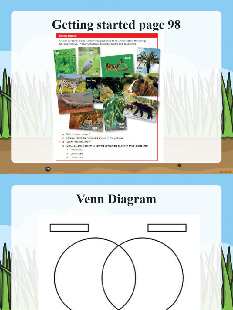 Food Chains and Food Webs Y5 | PDF | Home & Garden