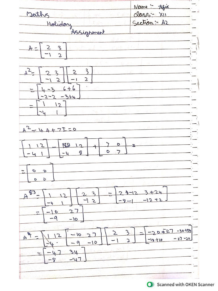 Maths Assignment | PDF