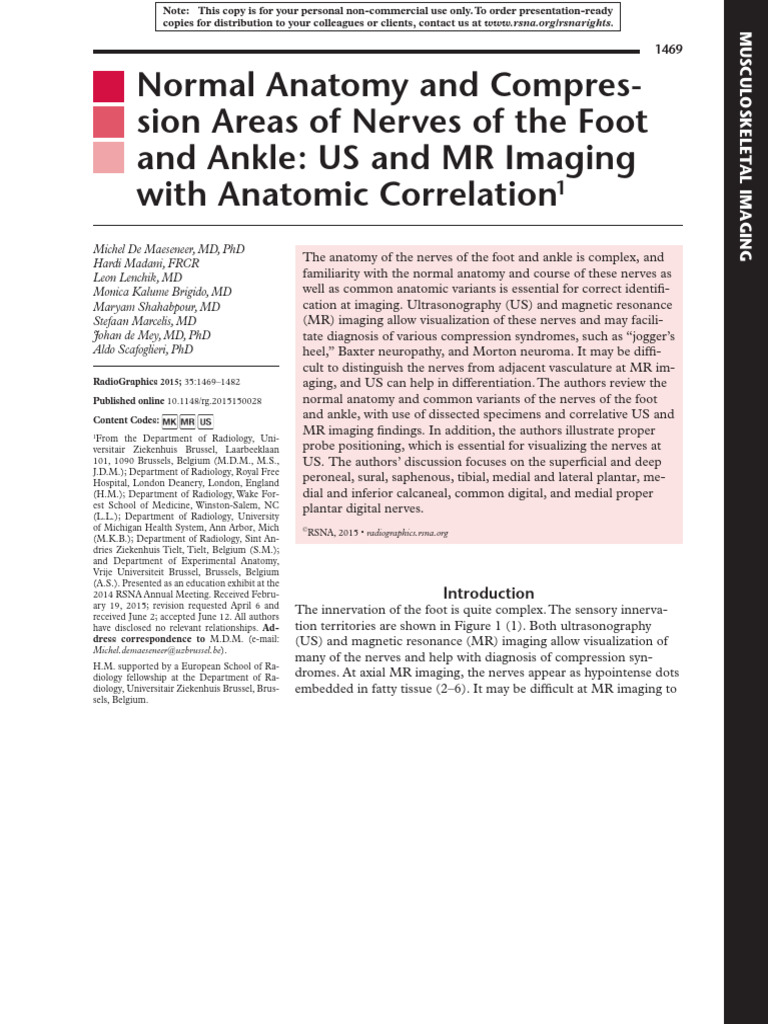 Normal Anatomy and Compression Areas of Nerves of The Foot and Ankle ...