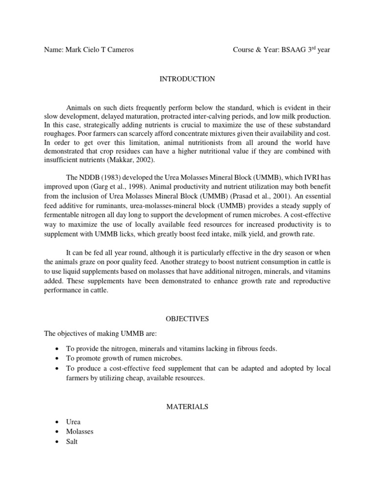 UMMB Making | Download Free PDF | Nutrients | Mixture