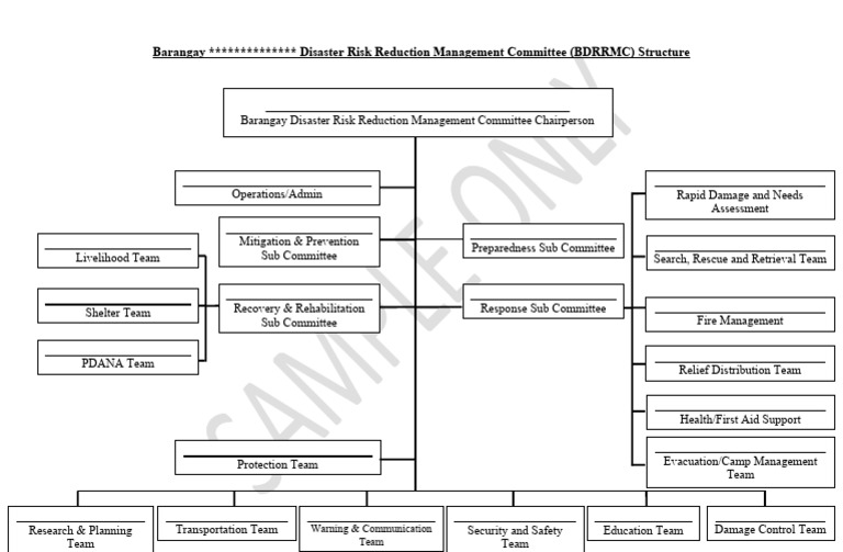 2 BDRRMC Structure 1 4 | PDF | Emergency Management | Meteorology