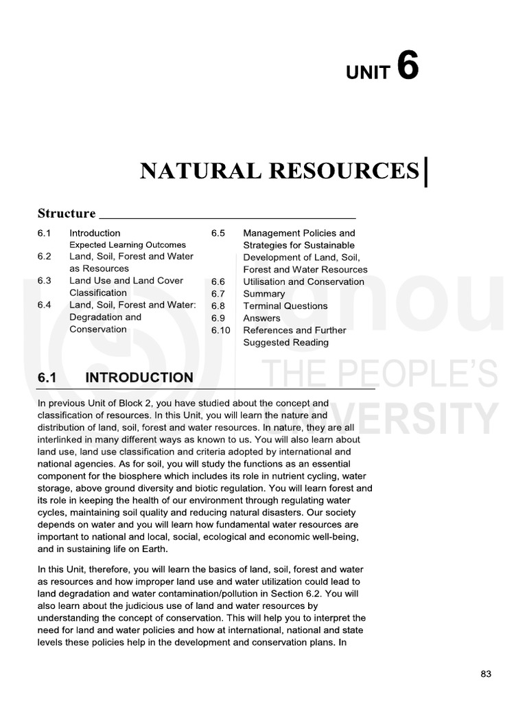 Unit 6 | PDF