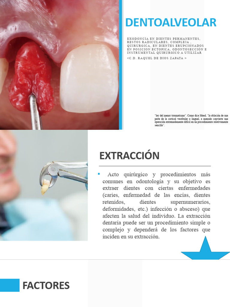 DENTOALVEOLAR | PDF | Diente | Boca