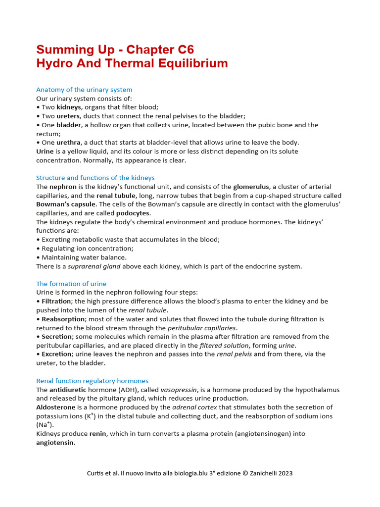 Curtis 39988 Summing Up C6 | PDF | Kidney | Urinary System