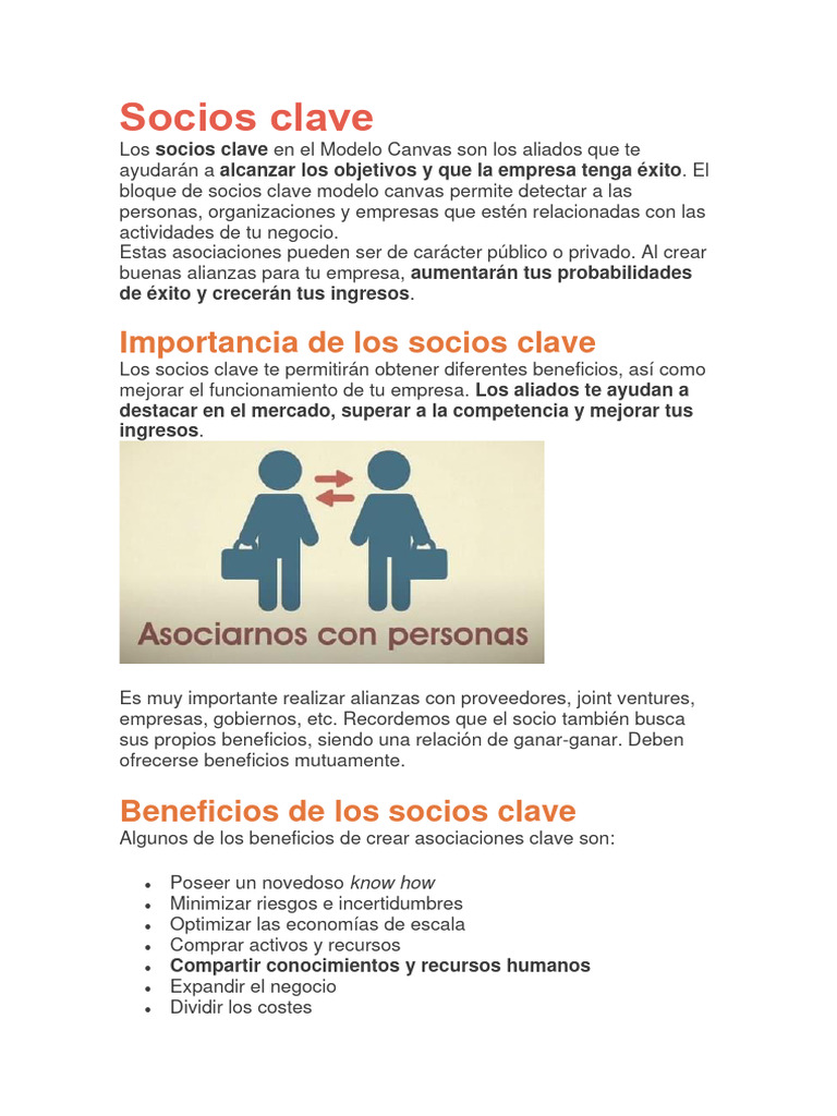 8 Socios Clave | PDF