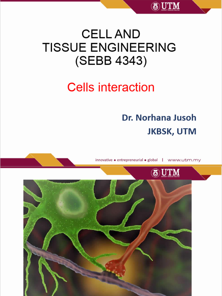 Cells Interaction | PDF | Cell Signaling | Extracellular Matrix