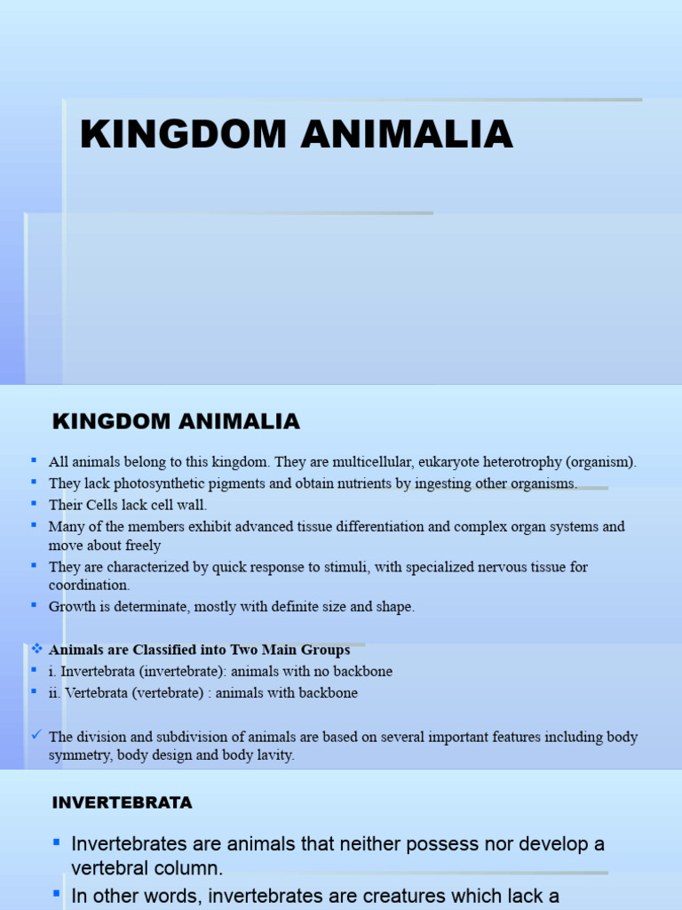 Animalia Kingdom Overview | PDF | Invertebrate | Sponge