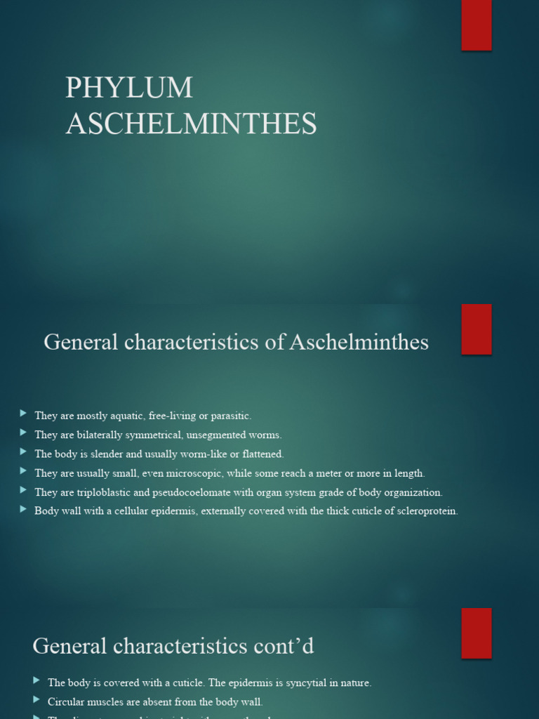 Characteristics of Aschelminthes | PDF | Reproductive System | Nematode