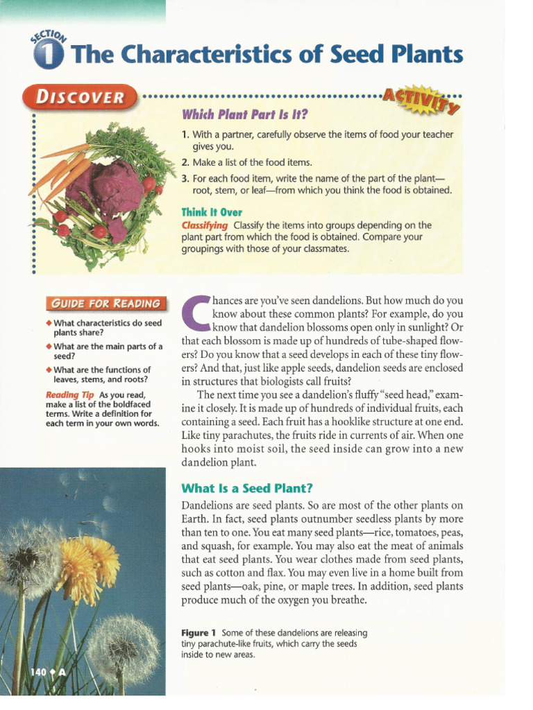 Seeds Plant Text Book | PDF
