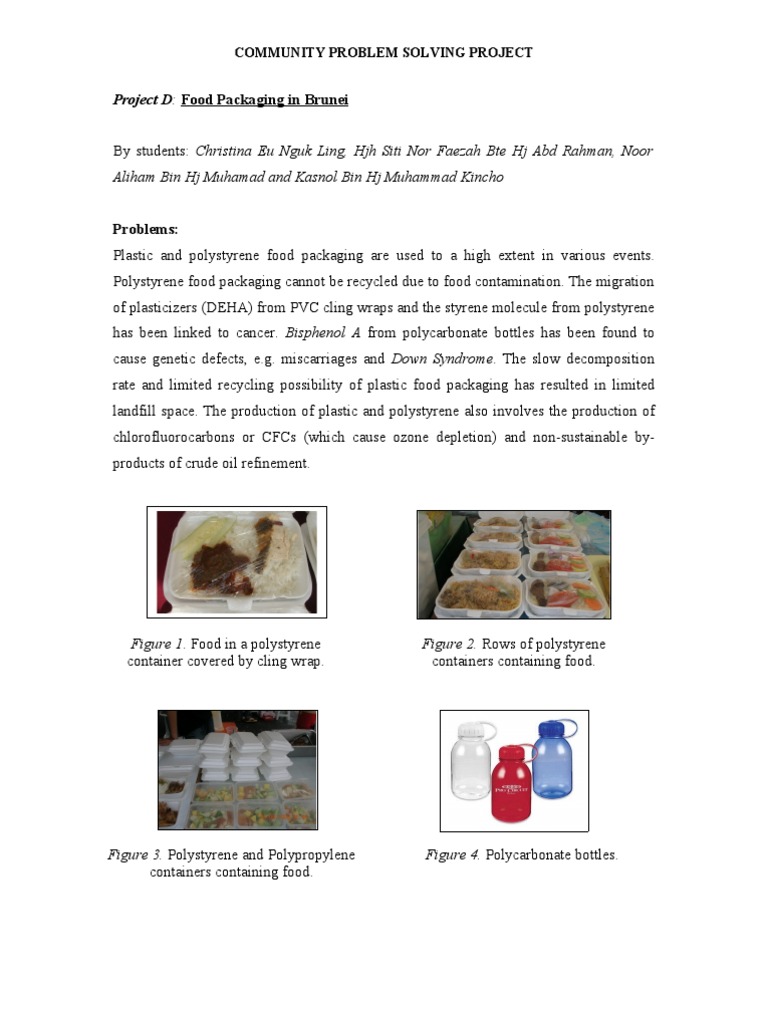 Project D - Food Packaging in Brunei | PDF | Polystyrene | Plastic