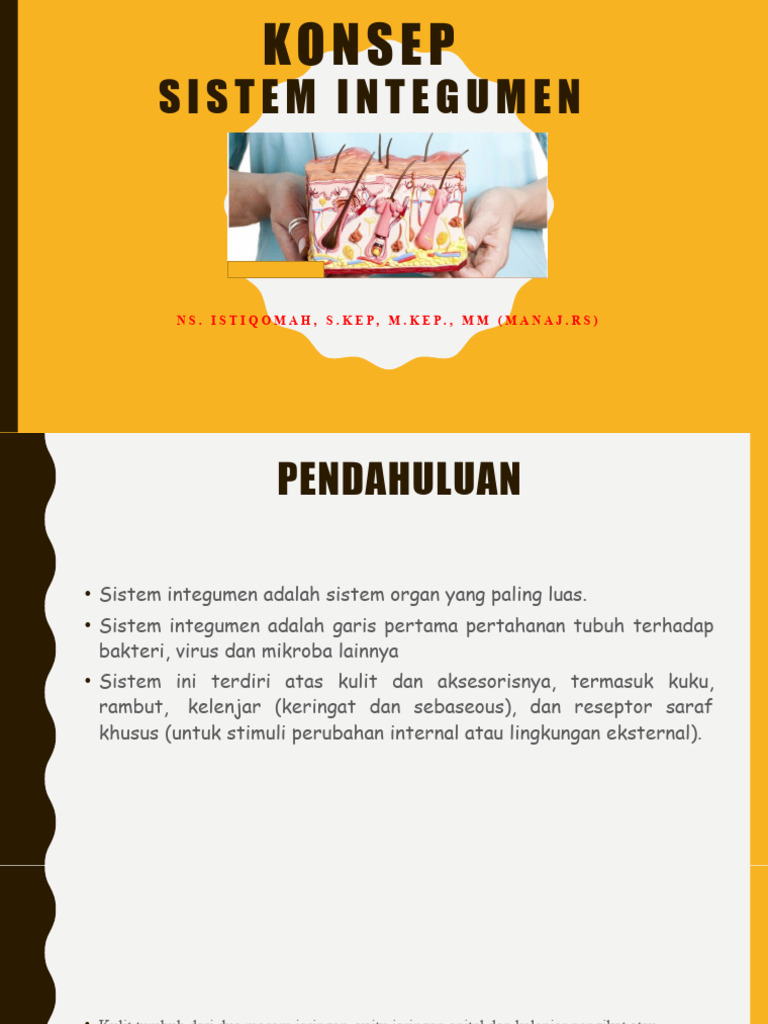 Sistem Integumen New | PDF
