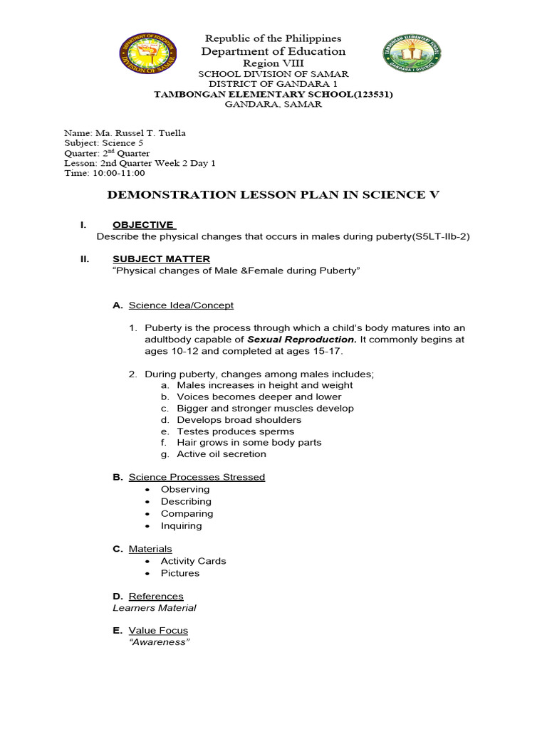 Mt1 Promotion Demo Lesson Plan Puberty Pdf Puberty Learning