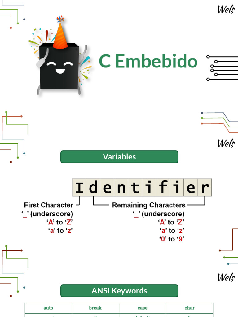 Float Double Clase 2 - C Embebido | PDF | Poco | Byte