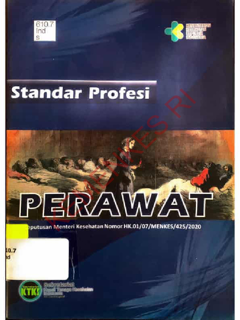 Standar Profesi Perawat | PDF