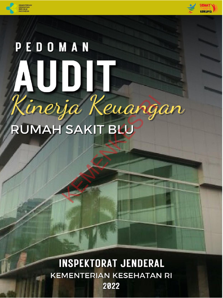 Pedoman Audit Kinerja Keuangan RS BLU | PDF