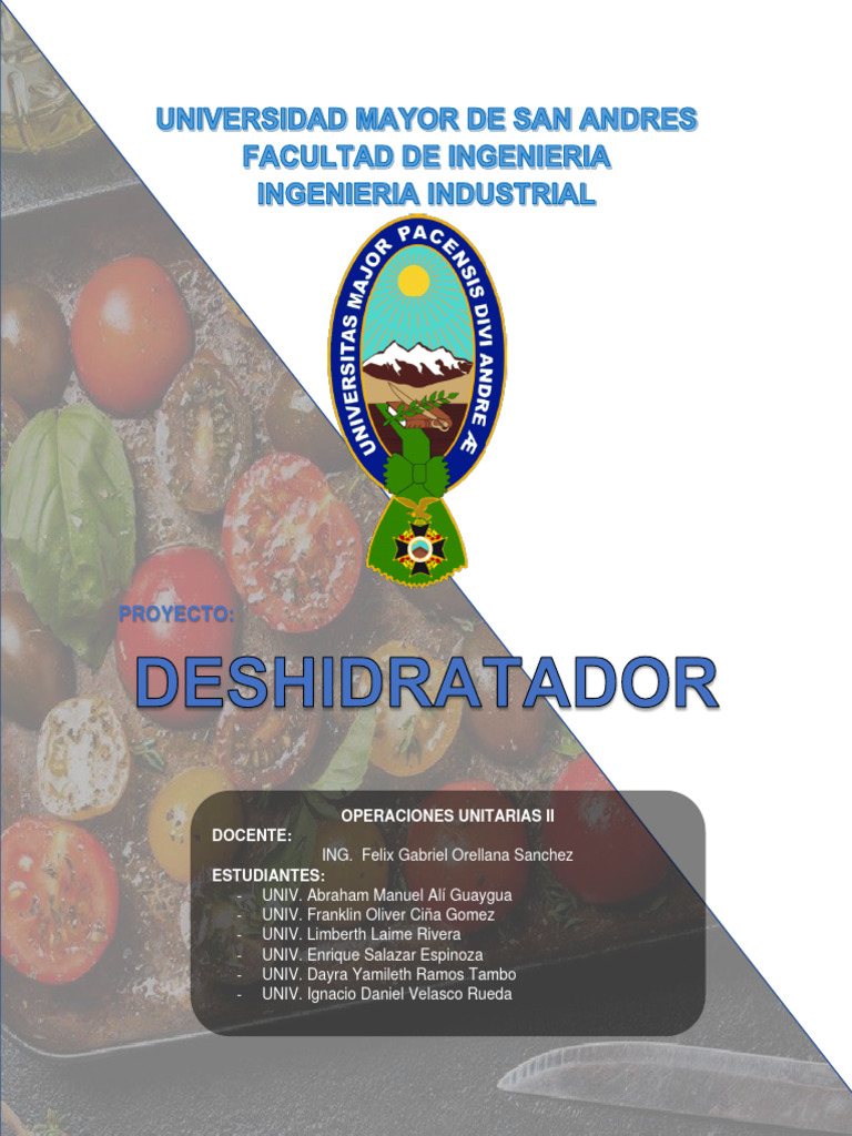 Proyecto OP2 | PDF | Convección | Conduccion termica