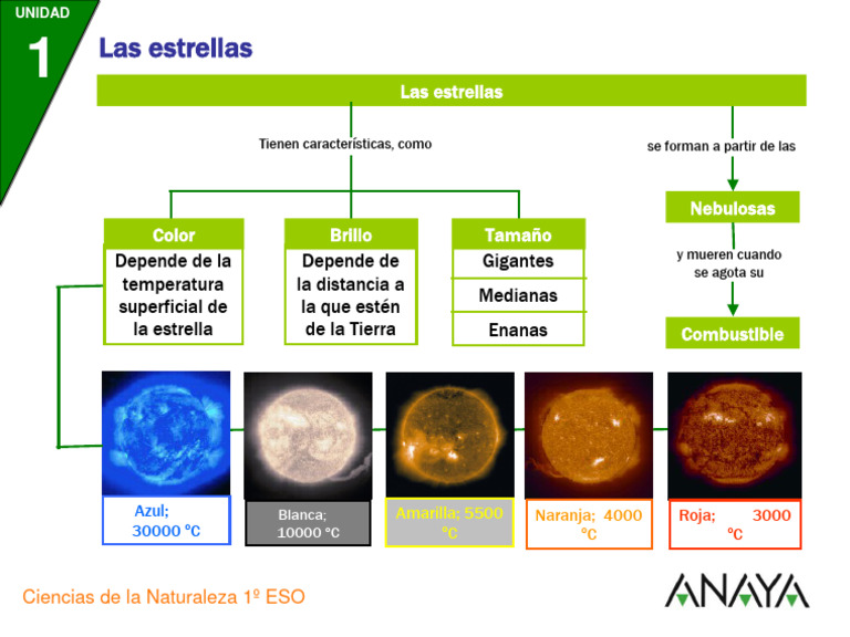 Estrellas: Tipos y Características | PDF