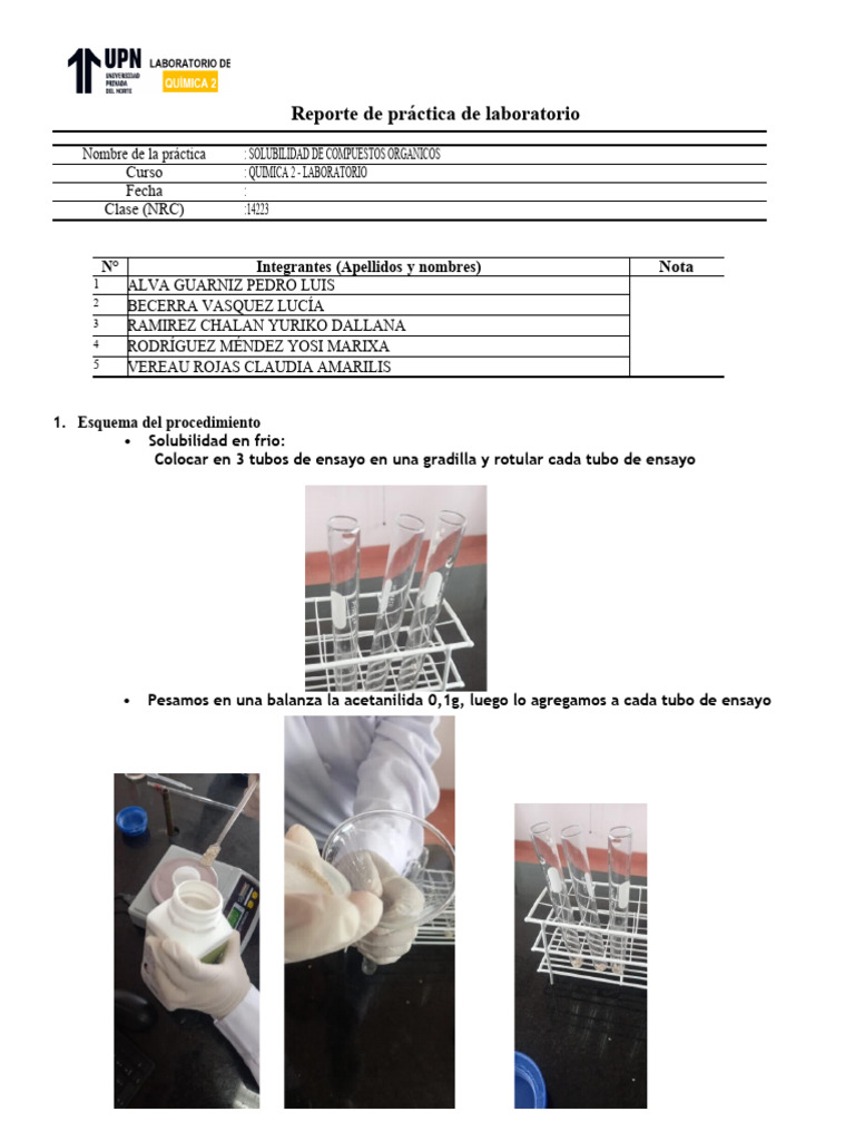14223 Grupo 1 Solubilidad De Compuestos Quimicos Pdf Solubilidad