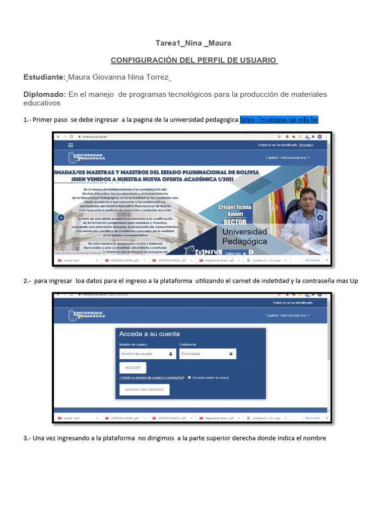 Configuración de Perfil en eCampus | PDF | Crecimiento personal y profesional | Informática