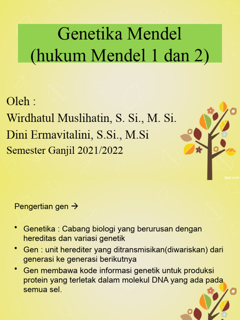 Hukum Mendel 1 Dan 2 | PDF
