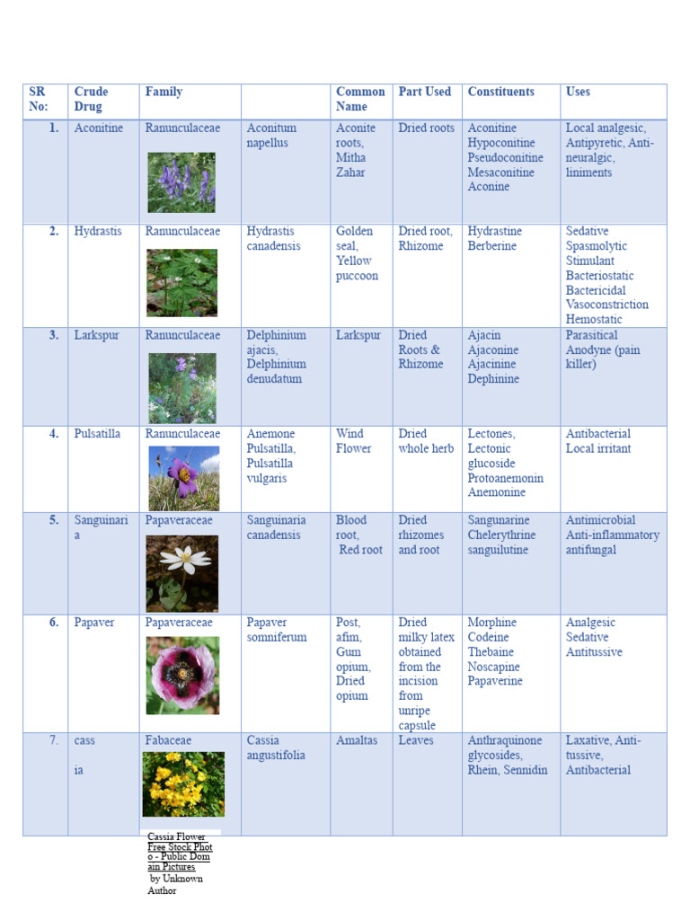 Herb Assignment | PDF