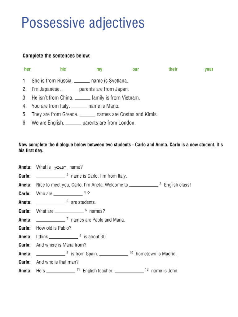 Possessive Adjectives | PDF