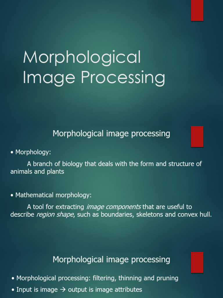 7 - Morphological Image Processing | PDF | Shape | Matrix (Mathematics)