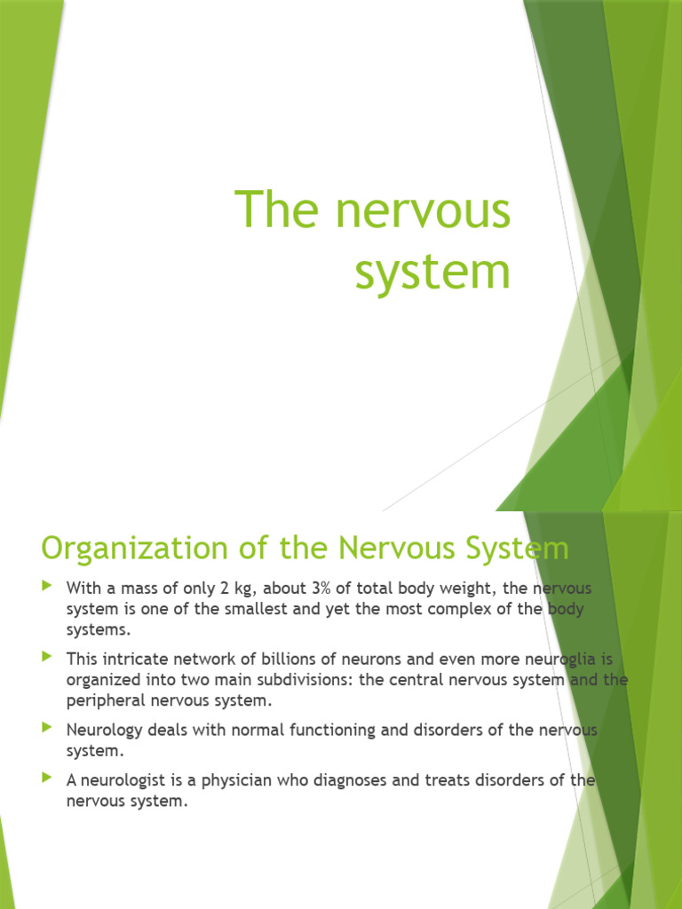 The Nervous System 1 | PDF | Cerebrospinal Fluid | Action Potential