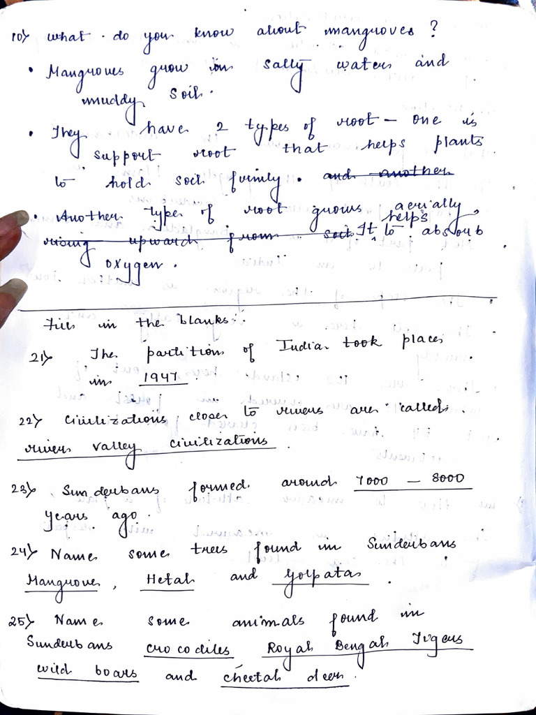 Chapter 3 Evs Work | PDF