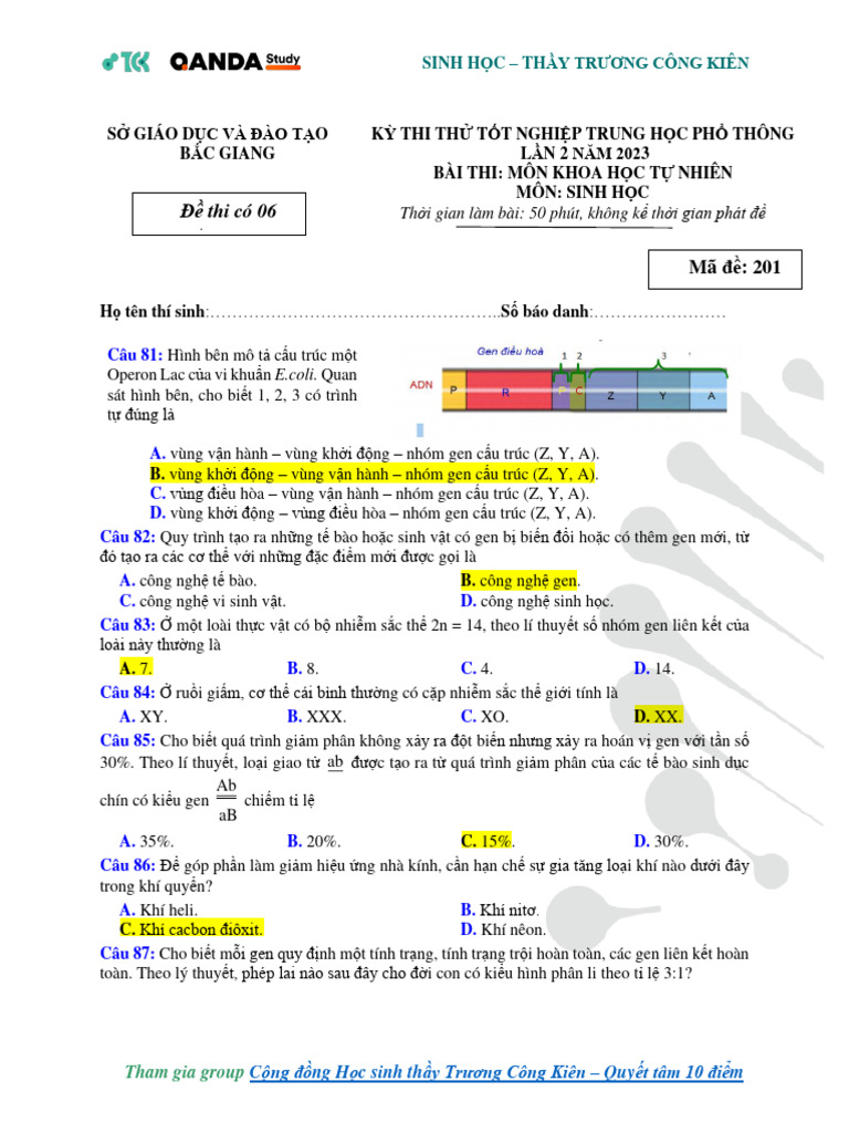 Đề Bắc Giang - mã 201 | PDF