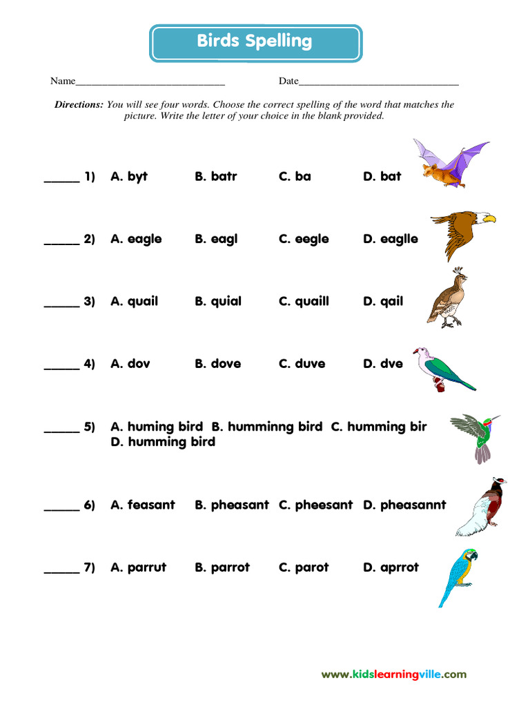 Birds Spelling | PDF