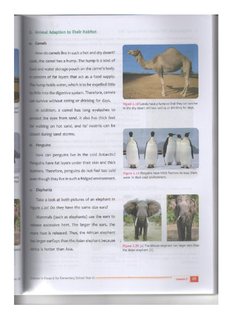 Animal Adaptation 2 | PDF