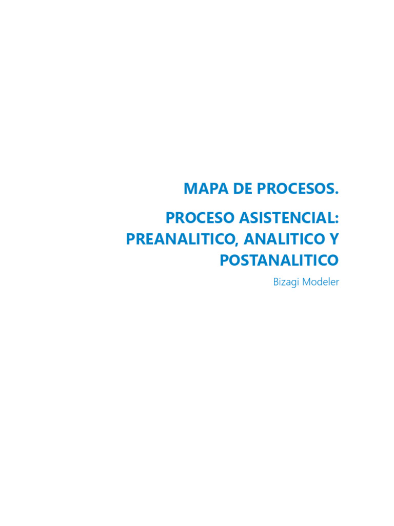 Trabajo Mapa de Procesos - Procesos | PDF | Informática