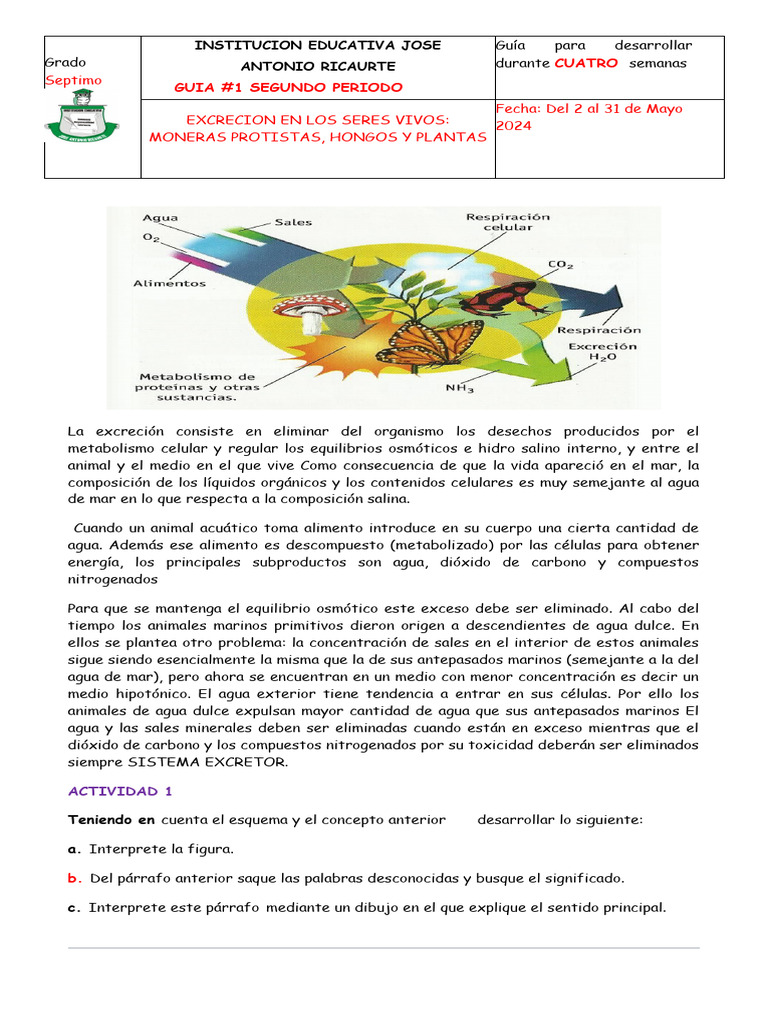 Guia 1 Septimo Segundo Periodo | PDF | Excreción | Agua
