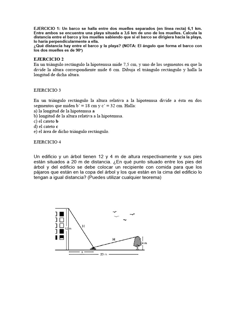 Ejercicios De Triángulos Pdf Hogar Jardinería Y Bricolaje