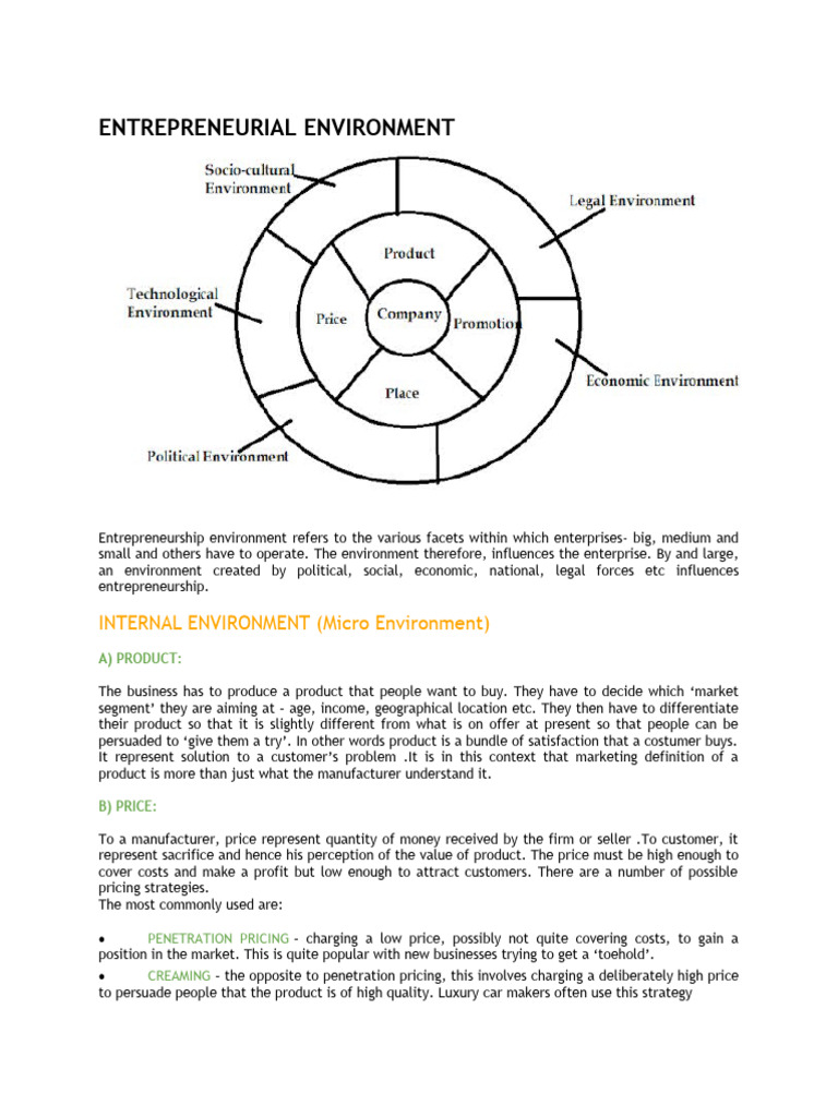 Entrepreneurial Environment | PDF | Pricing | Prices