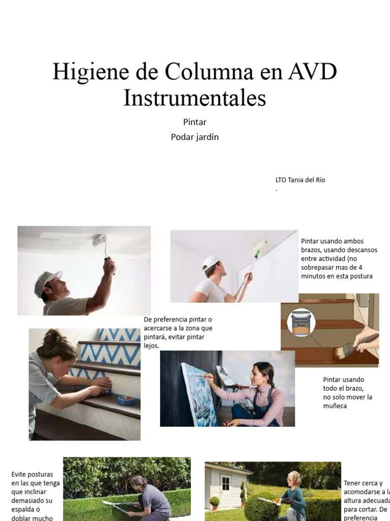 Higiene de Columna Avd Instrumentales | PDF | Almohada