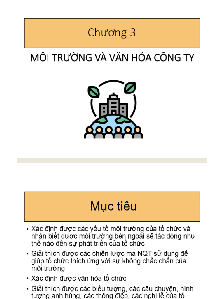 QTH - Ch03 - Môi Trư NG Và Văn Hóa T CH C | PDF