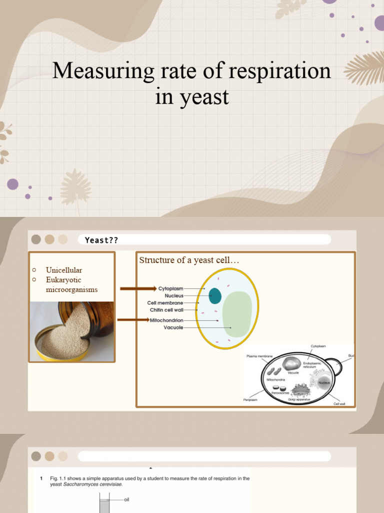 Practical Qs For A2 Level | PDF | Science & Mathematics