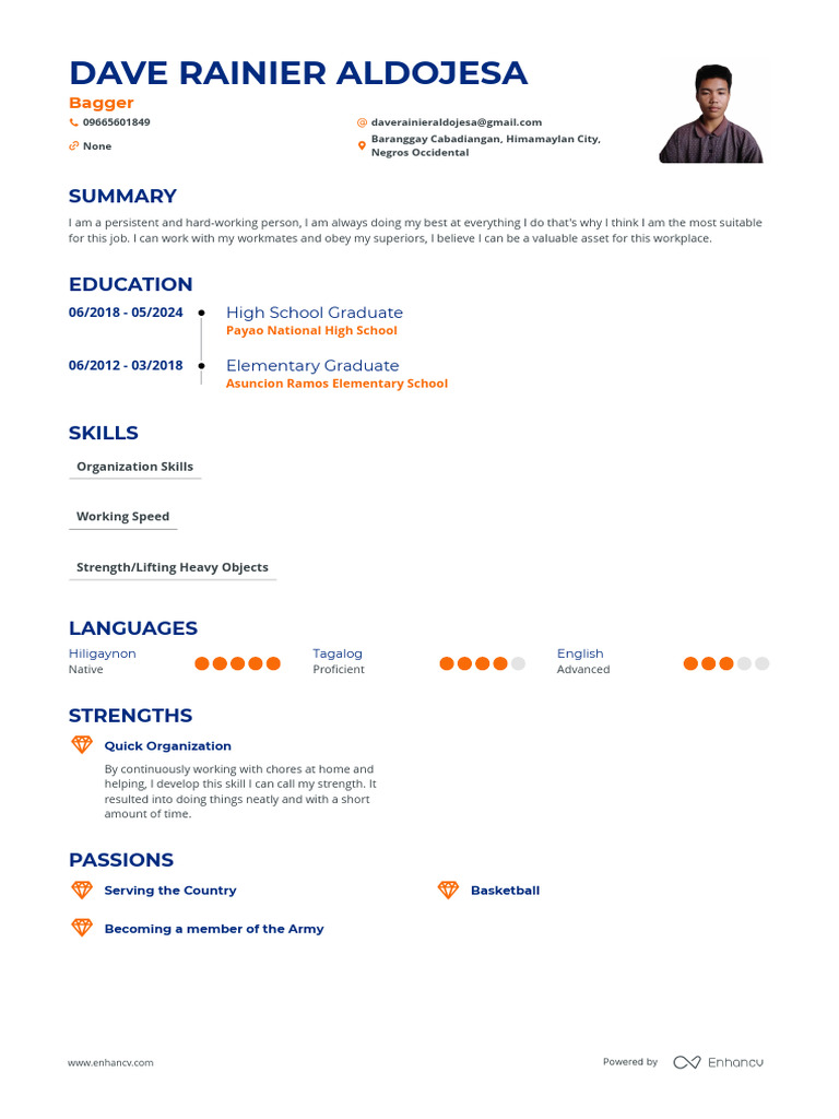 Bagger Resume of Dave Rainier Aldojesa | PDF