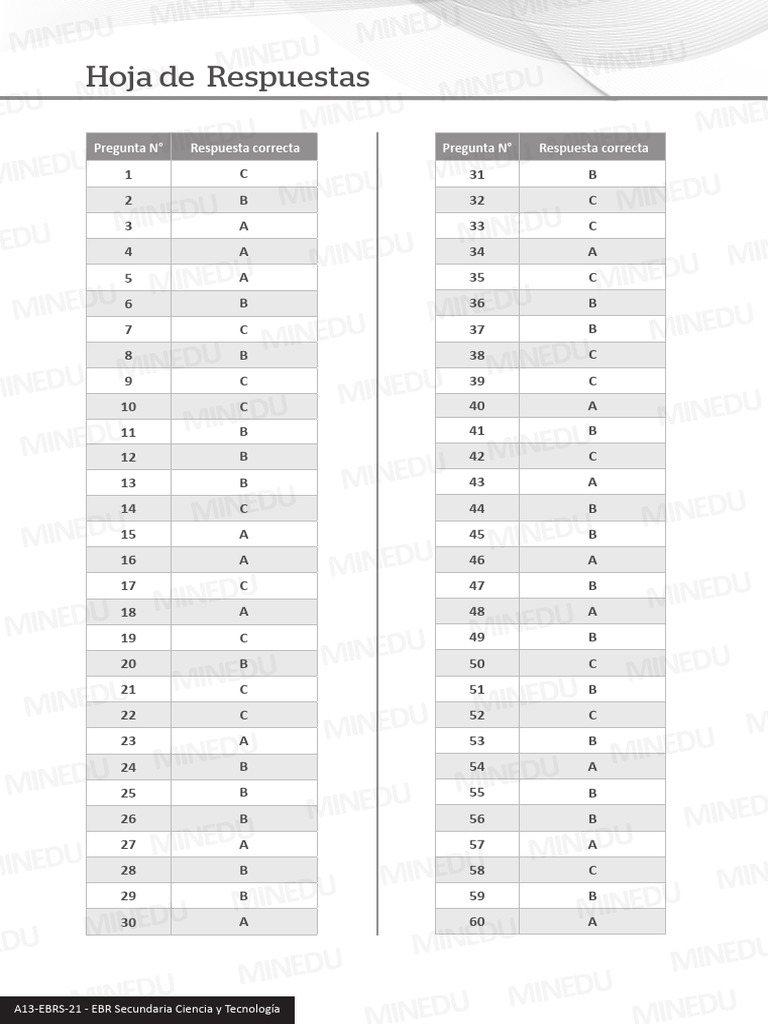 A13 EBRS 21 Cienciaytecnologia | PDF