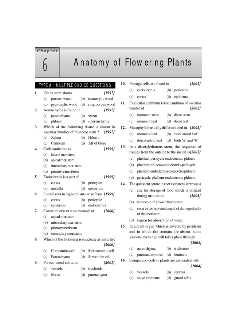 Plant Anatomy MCQs for AIIMS Exam | PDF | Plant Stem | Tissue (Biology)