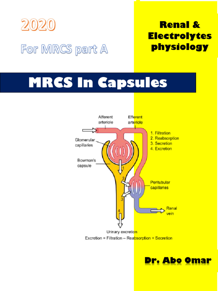 Renal & Electrolyted physiology final | PDF | Angiotensin | Endocrine ...