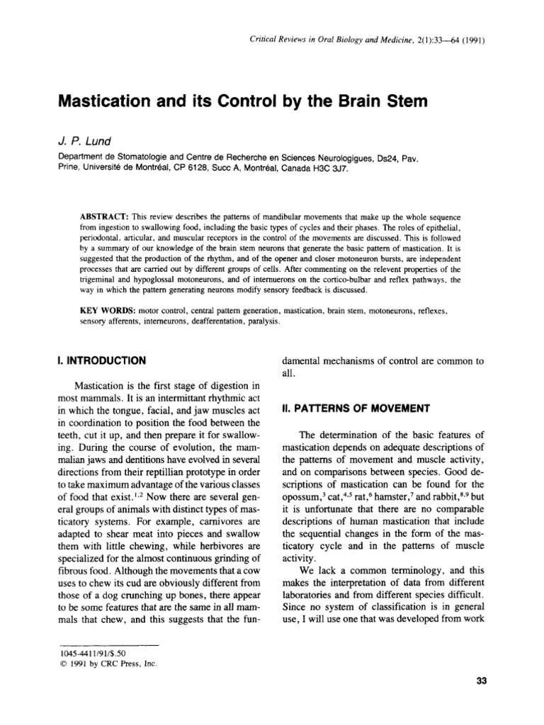 Brain Stem Control of Mastication | PDF | Motor Neuron | Stimulus ...