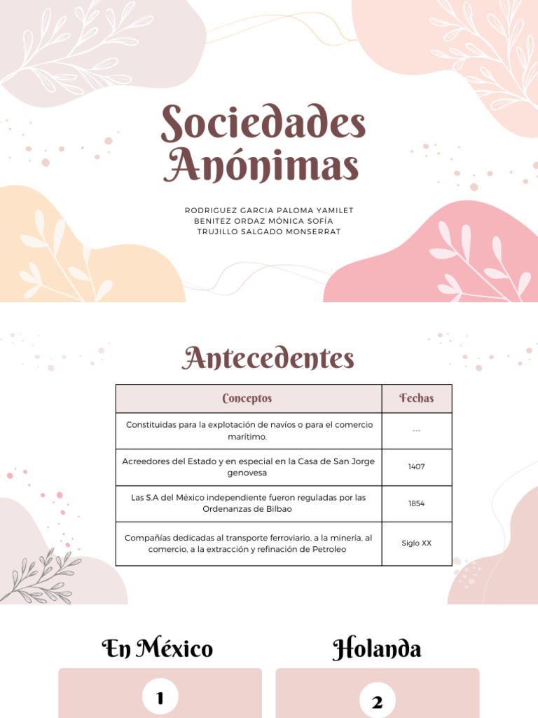 Sociedad ANÓNIMA Final | PDF | Sociedad de responsabilidad limitada | Compartir (Finanzas)