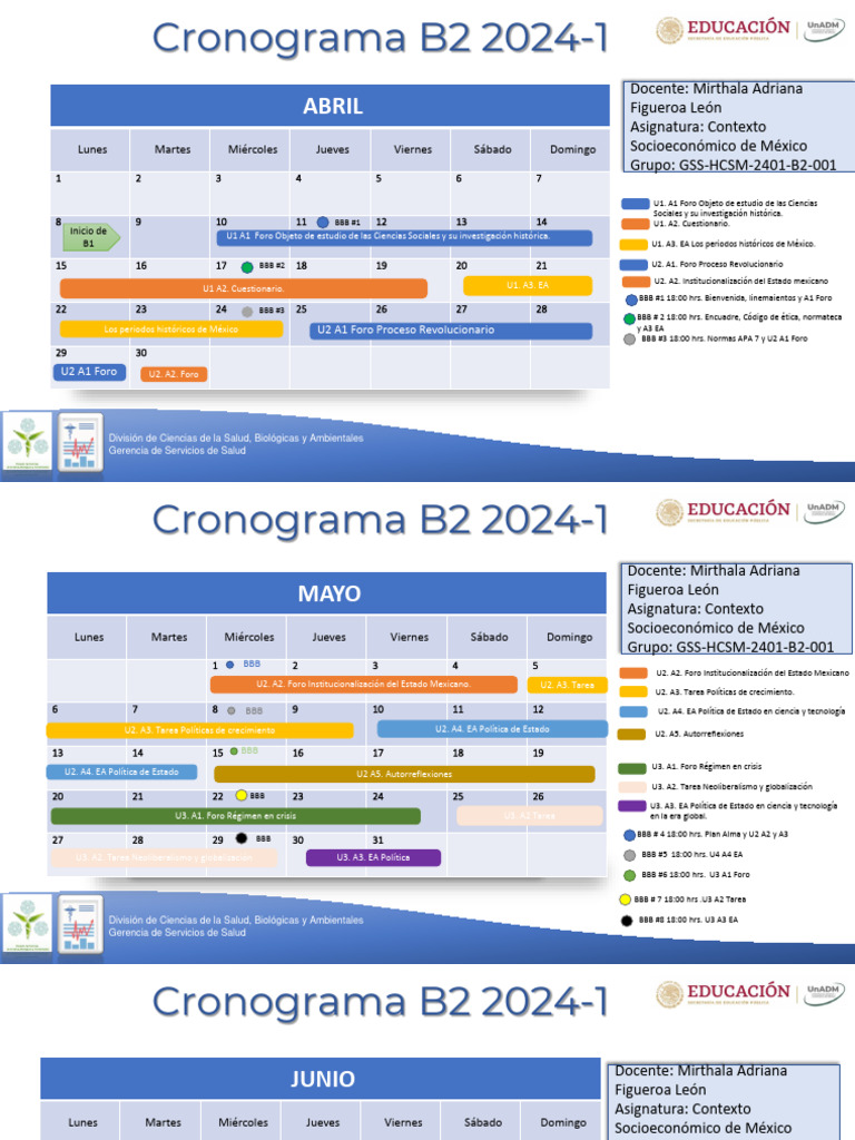 Cronograma_HCSM_MAFL | PDF