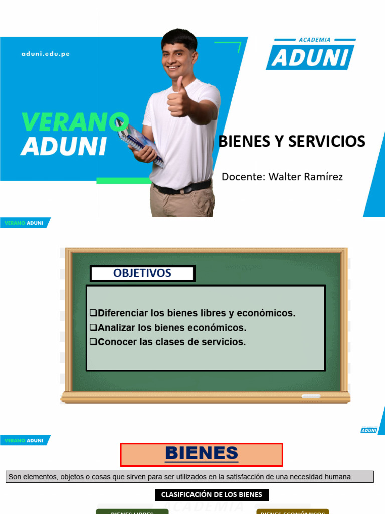 Clasificación de Bienes y Servicios | PDF | Bienes | Economias